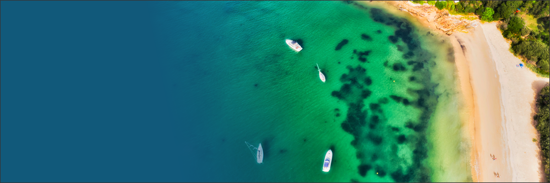 Home | Mosman Council